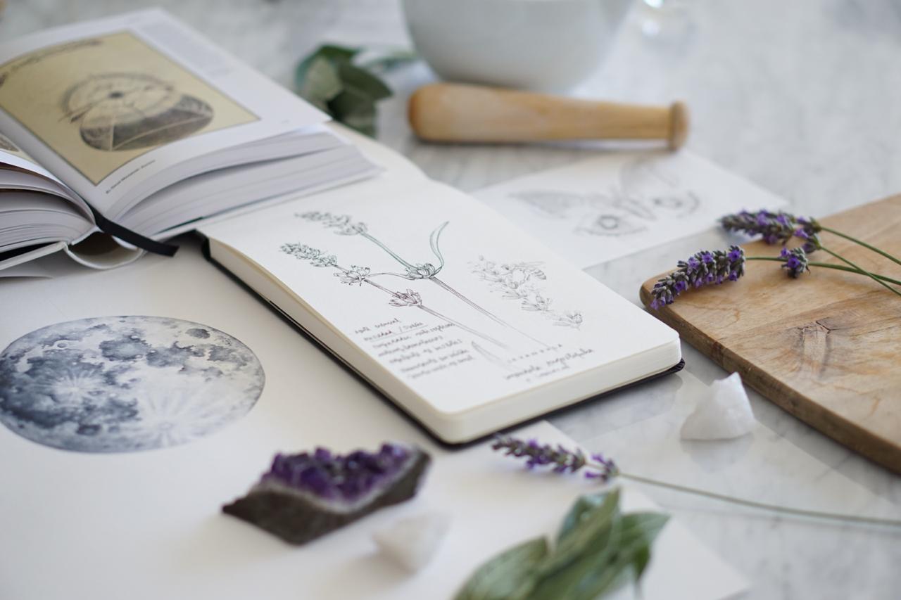 Estas son las propiedades que seguro desconocías de las plantas mágicas