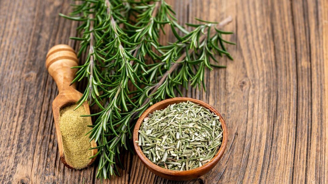 Protege a tu familia en todos los sentidos con la magia del romero